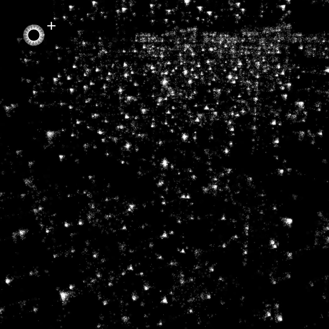 Originals+ – Loop Scope