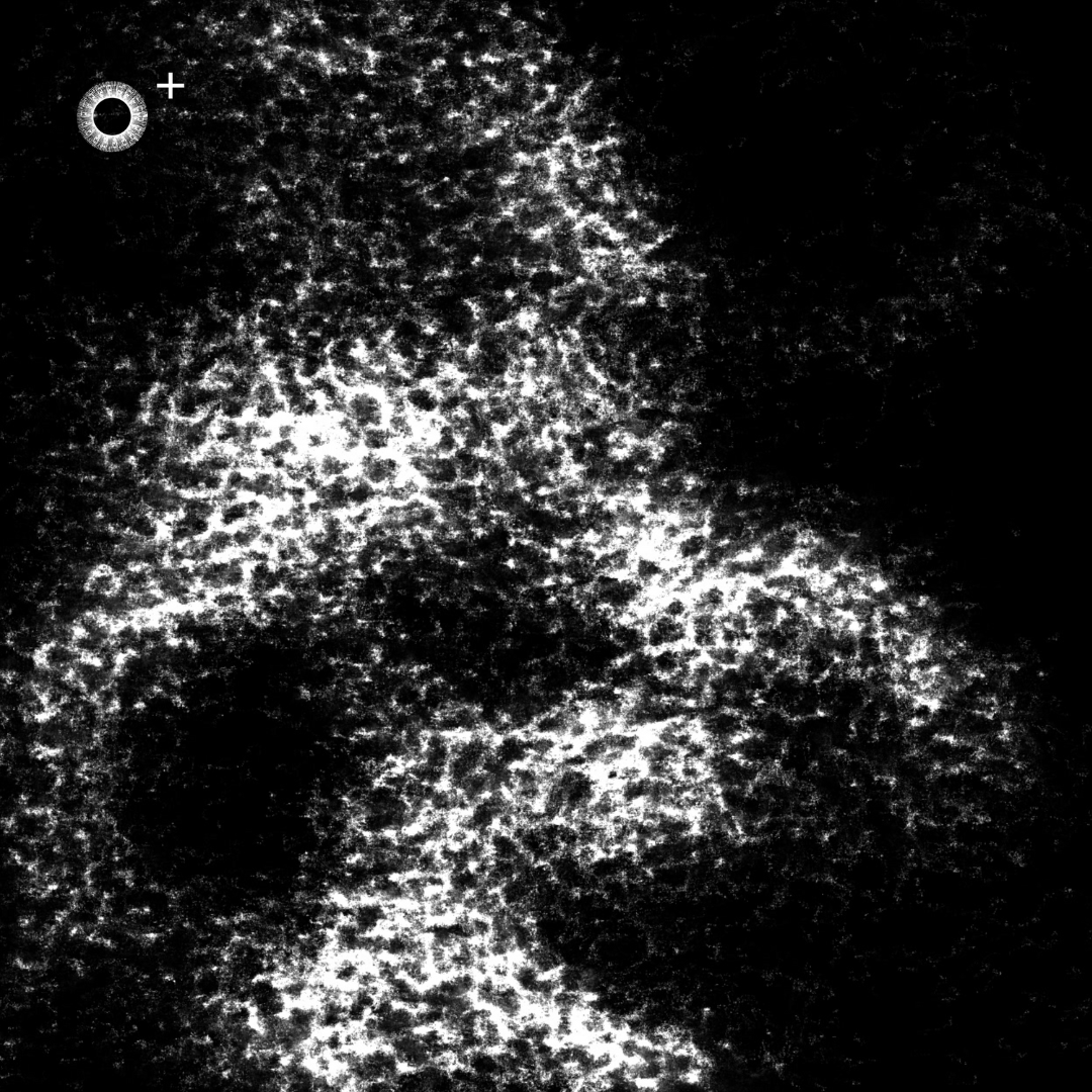 Originals+ – Loop Scope