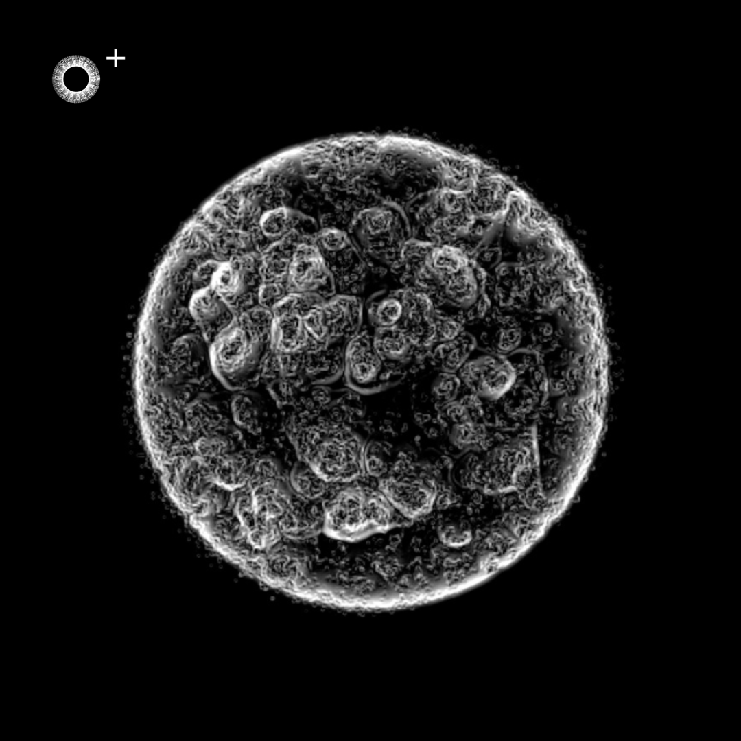 LS.s134 – Loop Scope