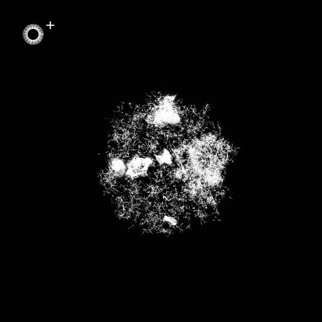 Originals+ – Loop Scope
