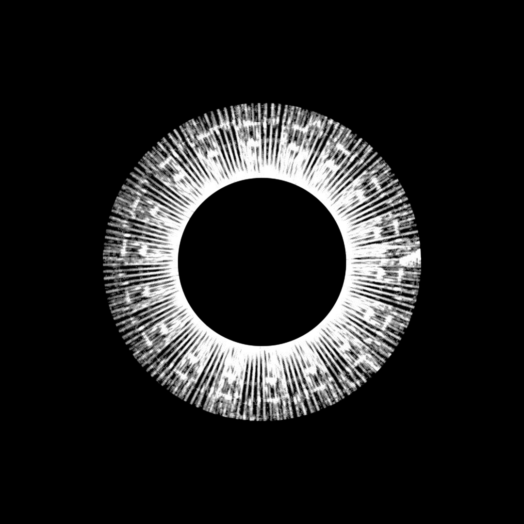 FREE Inspiration Pack – Loop Scope